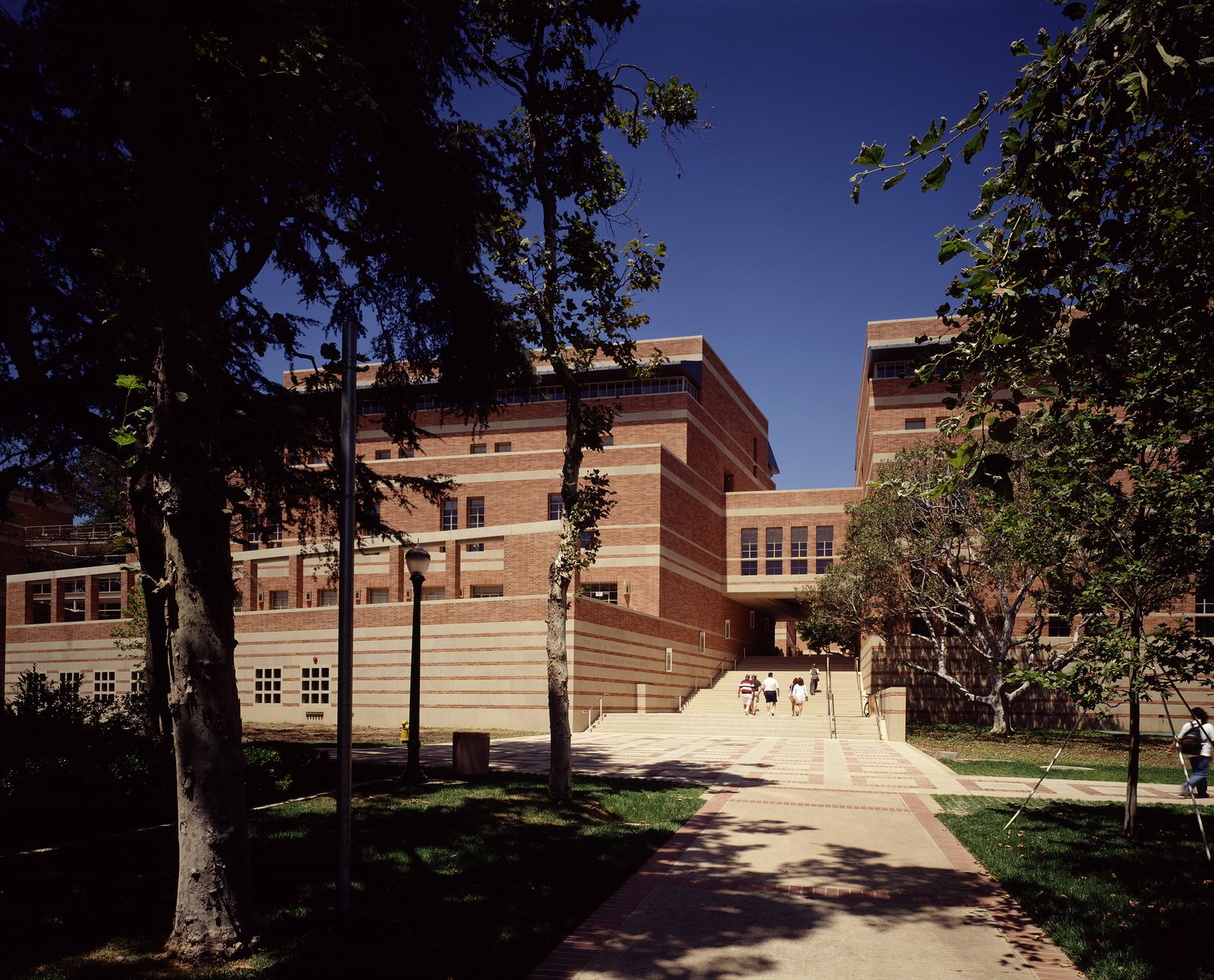 UCLA Anderson School of Management | Pei Cobb Freed & Partners