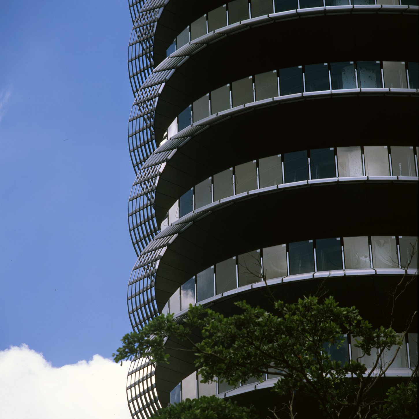 The Ellipse 360 | Pei Cobb Freed & Partners